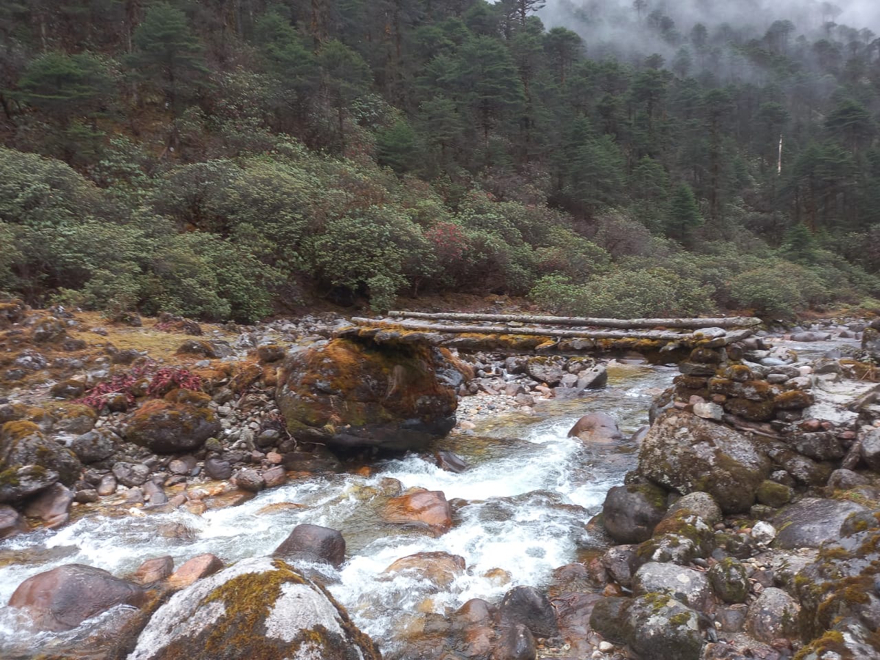 Bailey Trail Trek: A Historic Trek from Tawang to Ziro Valley – Choose ...
